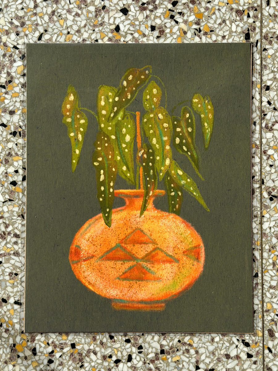 Desirée Mae Studio - 8” x 10” Print - Begonia Plant (STORE PICK UP ONL – shopURSA